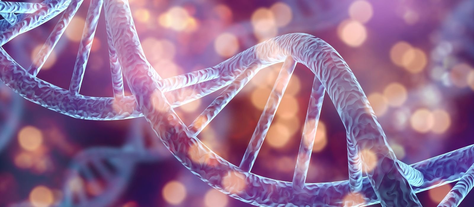 O que é Biologia Molecular? Entenda os fundamentos - SP Labor