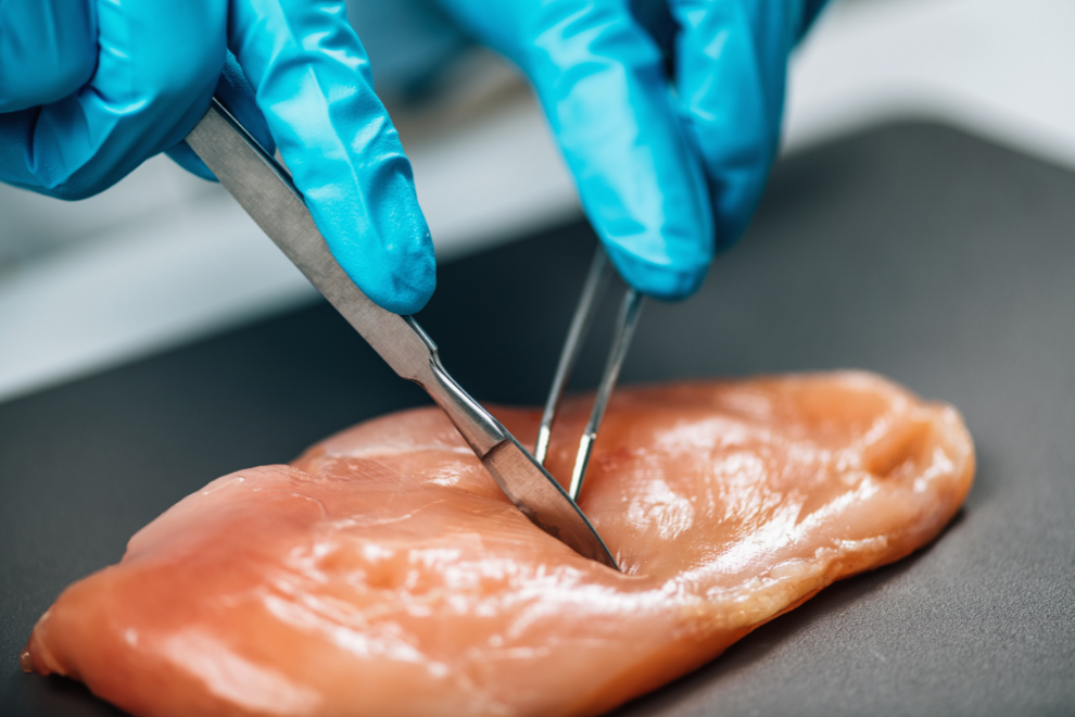 Medidor de pH carne: Controle essencial qualidade. - SP Labor