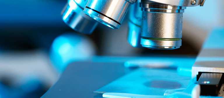 Conheça os Tipos de Microscópio - Entenda as Diferenças. - SP Labor